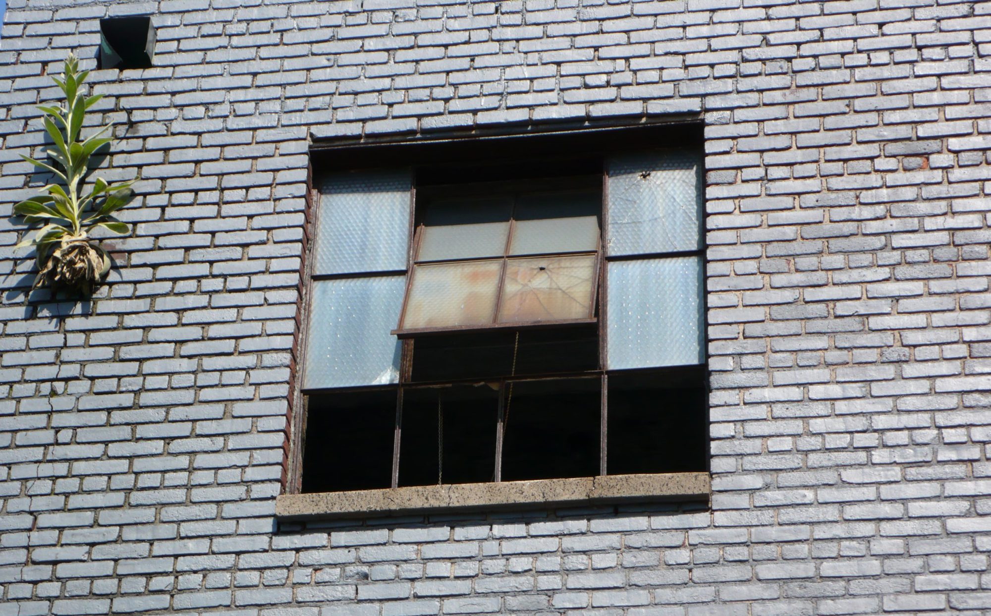 High Line Window – Litbreak Magazine